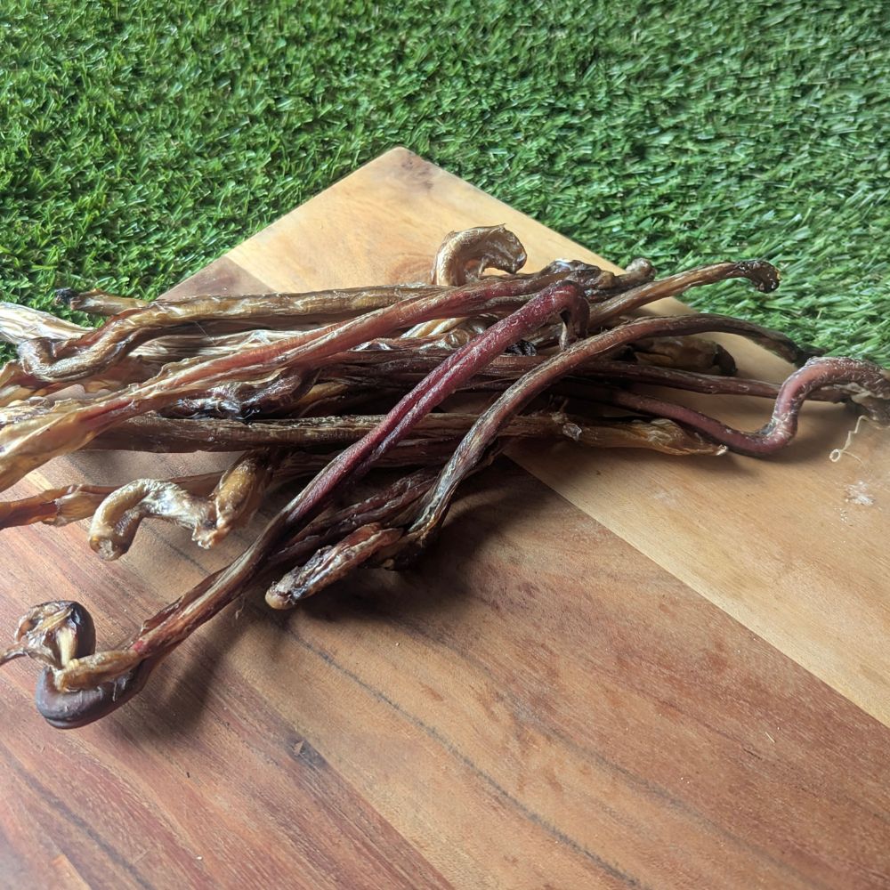 Goat Pizzle (Billy Willies) | Puppy Dental & Hypoallergenic