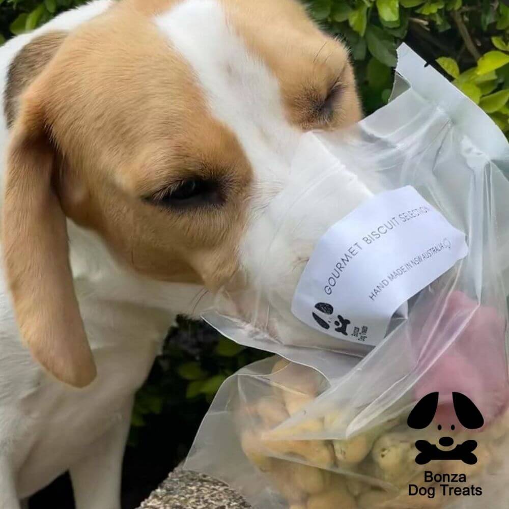 Gourmet Hand Made Dog Biscuits Variety Pack – Bonza Dog Treats