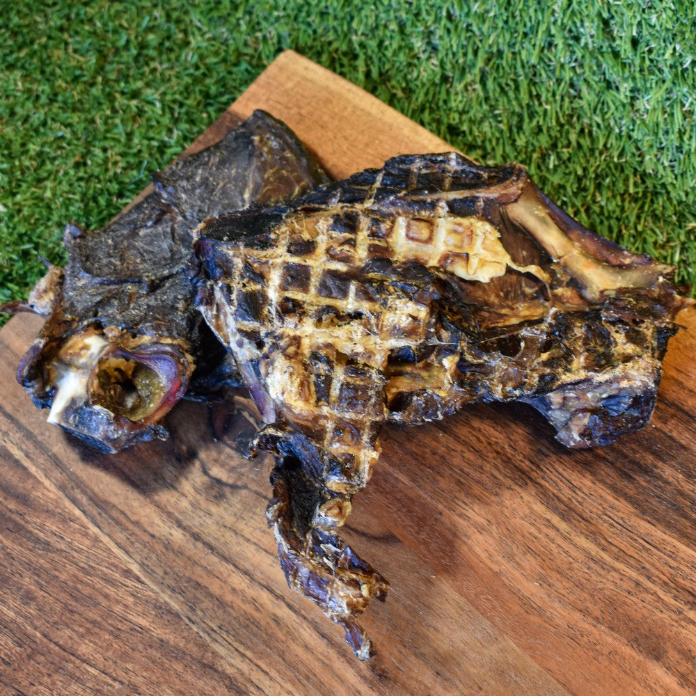 Kangaroo Chops | Natural Long Lasting Dog Bone Chew